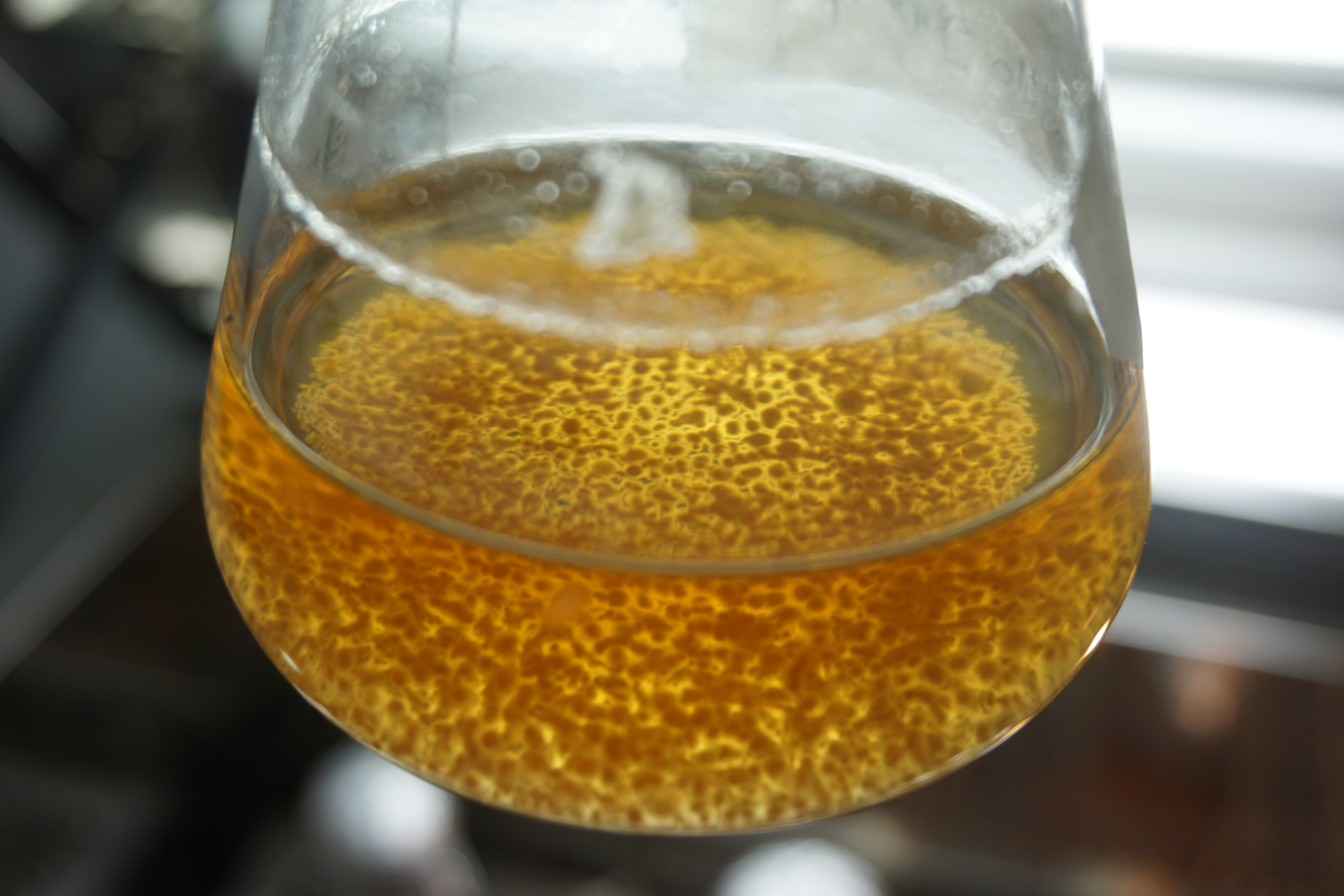 Designing, building, and testing a DIY bench LSF bioreactor | Experiment